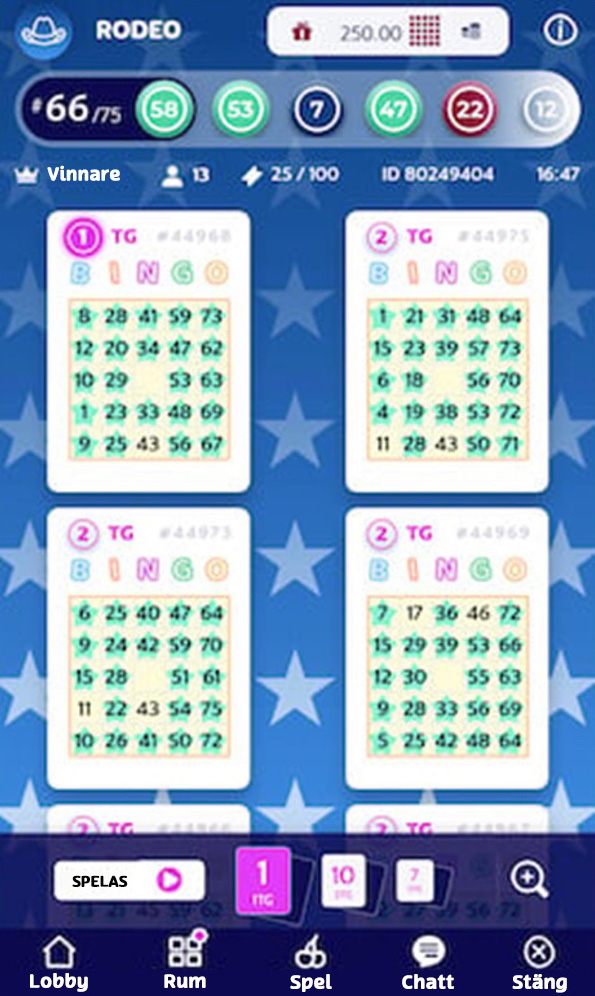 Din kompletta guide om hur man spelar bingo online | PlayOJO